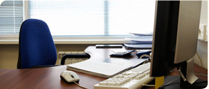 Lite Version - Pro & Easy Cheque Writer Software